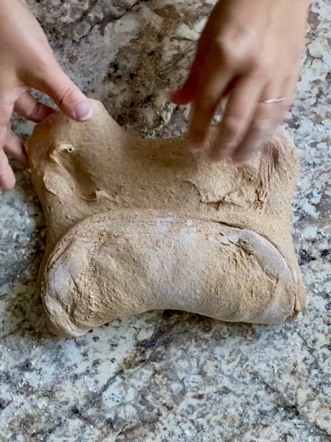 100% Whole Wheat Sourdough Bread - Everyday Homemade