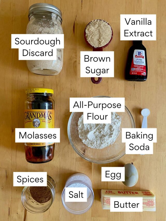 Sourdough Gingerbread Cookies - Everyday Homemade