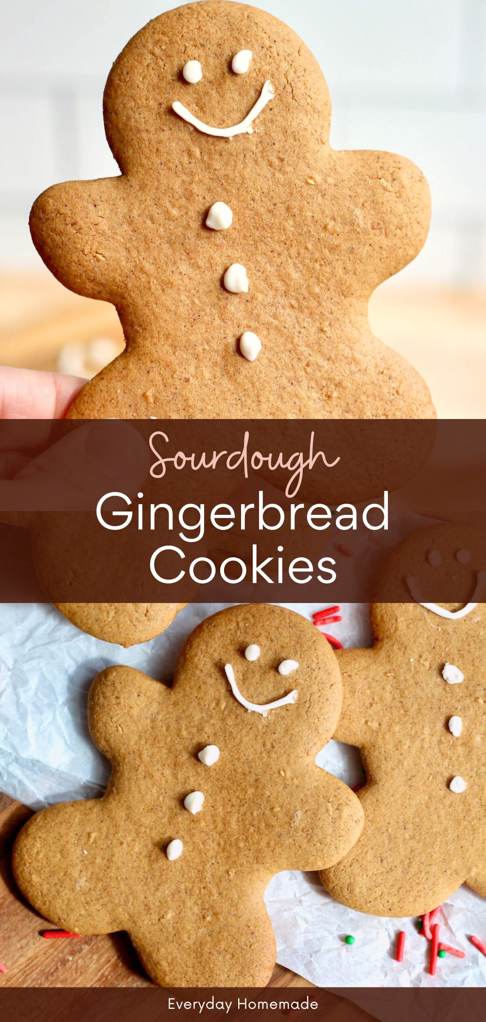 Sourdough Gingerbread Cookies - Everyday Homemade